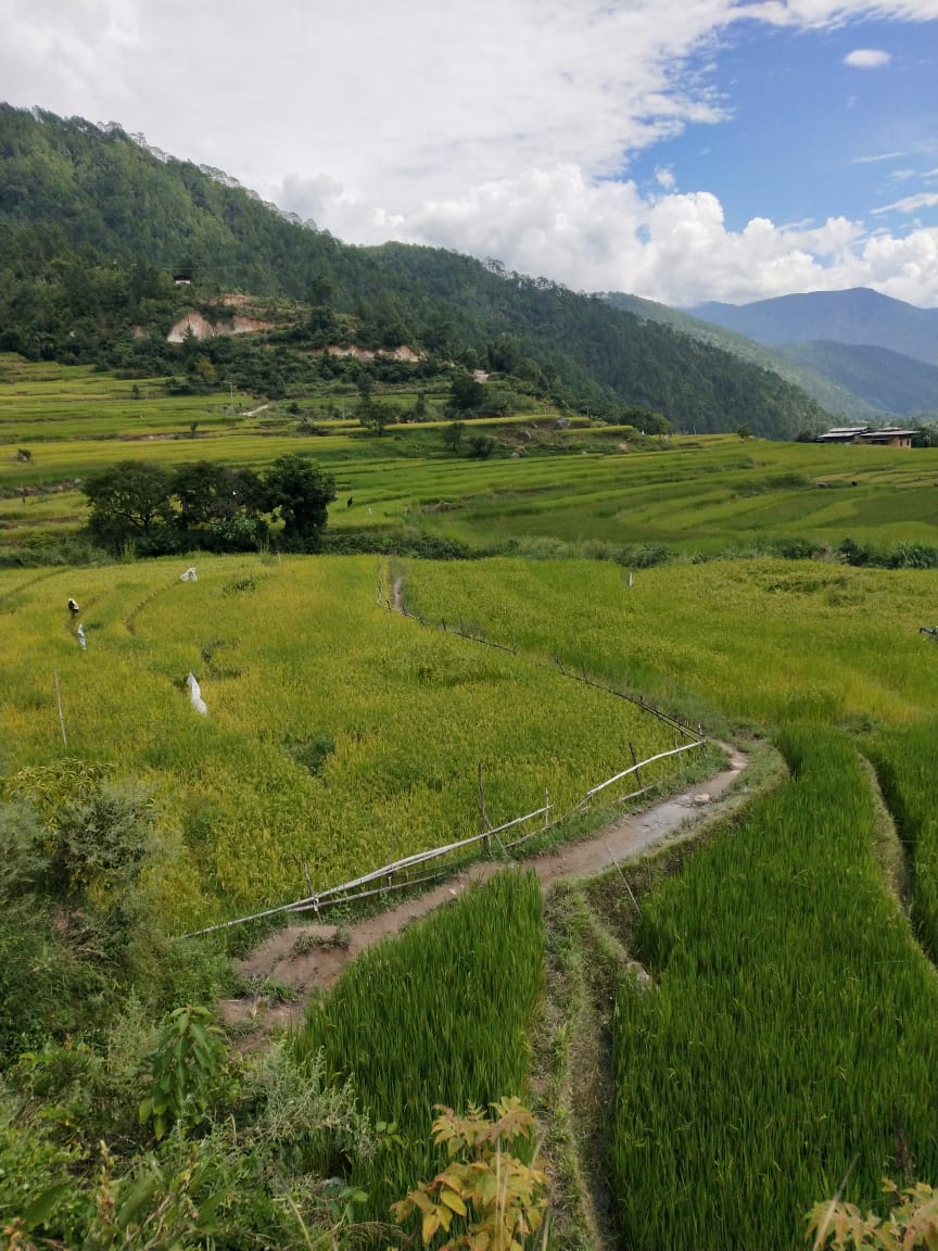 Ultimate Khamsum Yulley Namgyal Chorten Hiking Guide - Our Backpack Tales