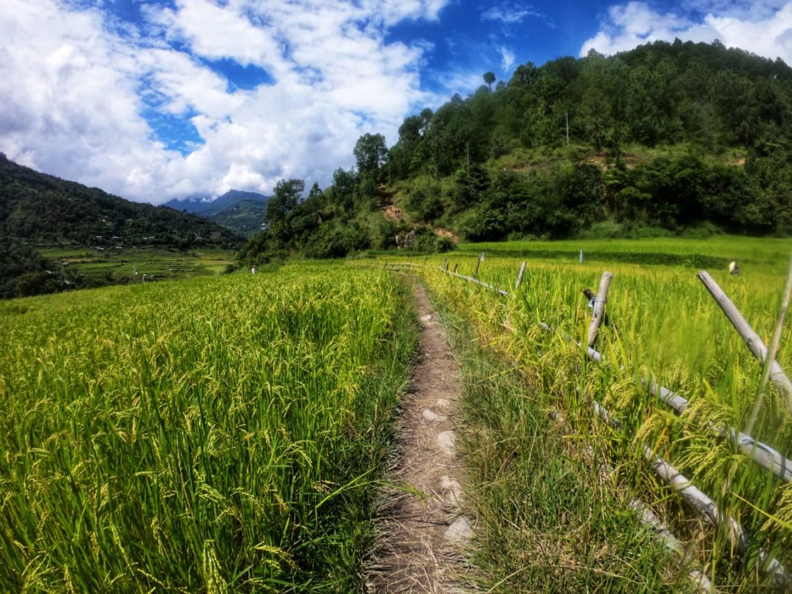 Ultimate Khamsum Yulley Namgyal Chorten Hiking Guide - Our Backpack Tales